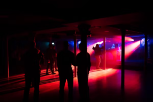 Strip Club VIP Room What Happens Behind the Curtain: 7 Unforgettable ...